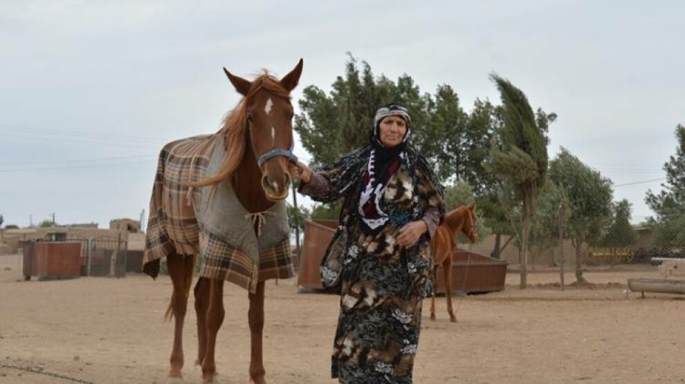 JINHAGENCY | 65-year-old Sacida Sileman takes care of horses for 40 years