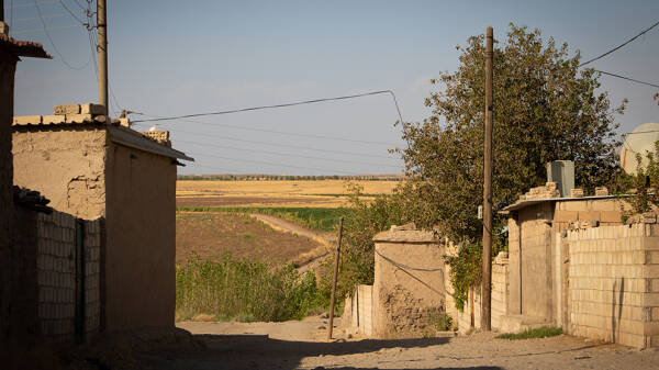 JINHAGENCY | Story of Girkê Selma village famous for its poplar trees